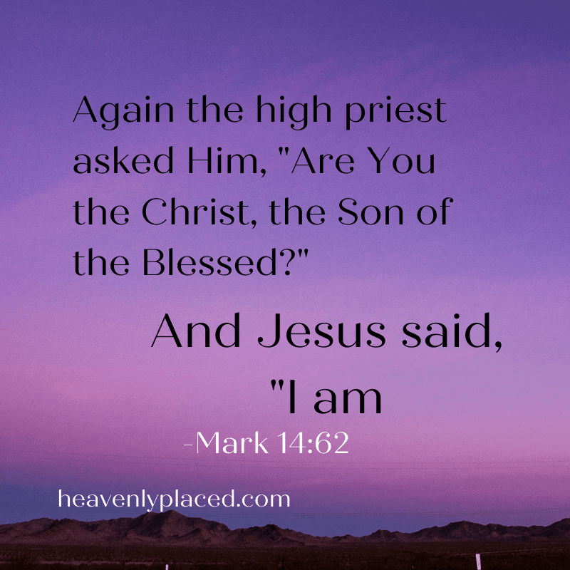Are You The Christ | Heavenly Placed