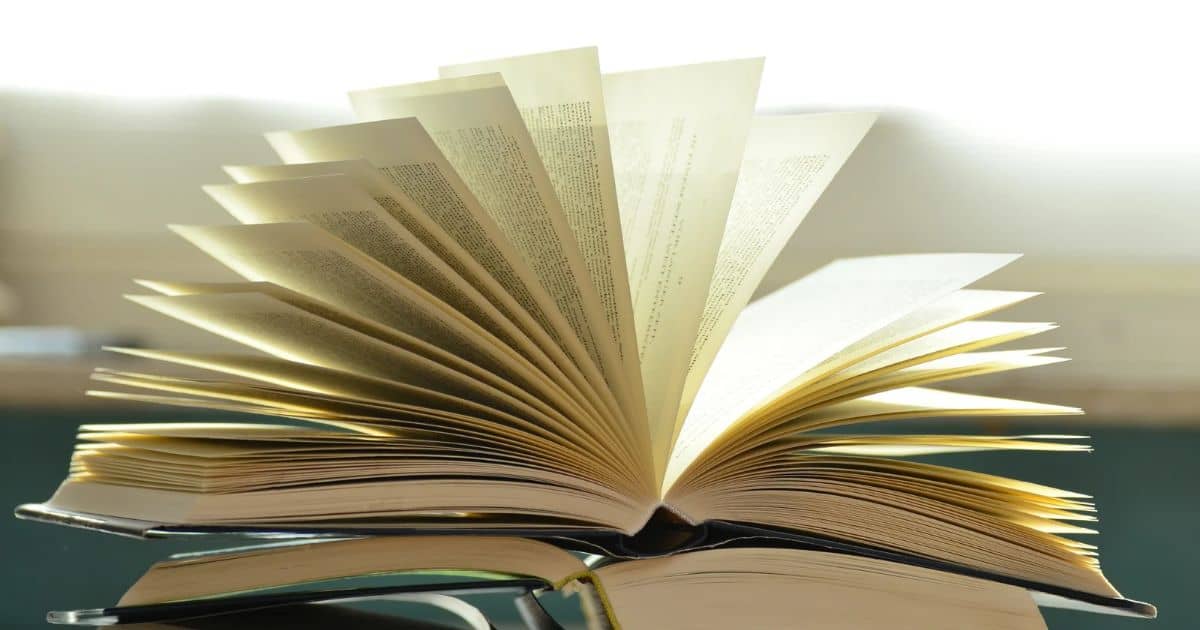 5 Easy-To-Read Bible Study Books for Beginners | Heavenly Placed